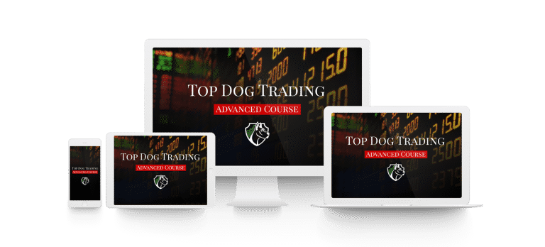 Top Dog Trading Products and Services - Top Dog Trading